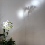 Advent poems 1: Annunciation, by Gillian Allnutt – Lifesaving Poems