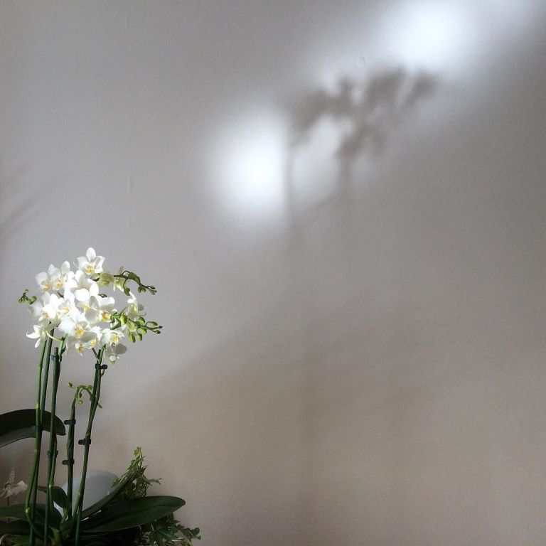 Advent poems 1: Annunciation, by Gillian Allnutt – Lifesaving Poems