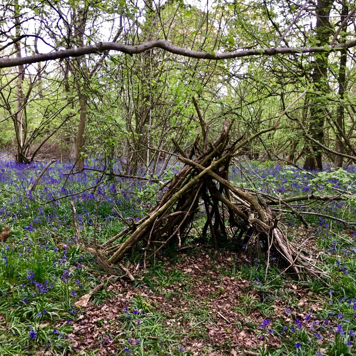 Lifesaving Lines: Spring, by Gerard Manley Hopkins – Lifesaving Poems